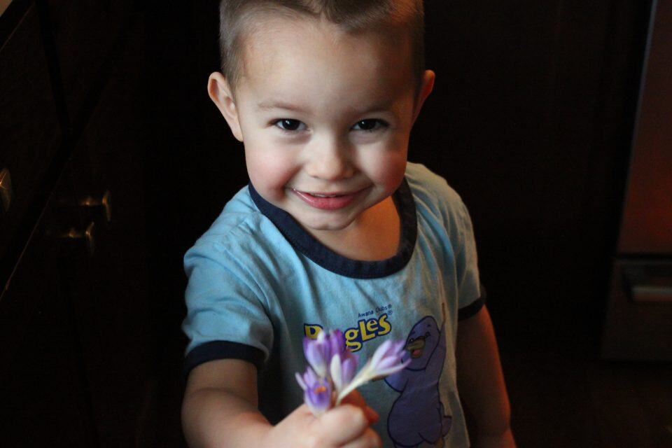 Irresistible Chocolate Fudge Cream Cheese Brownies for Any Chocolate ...