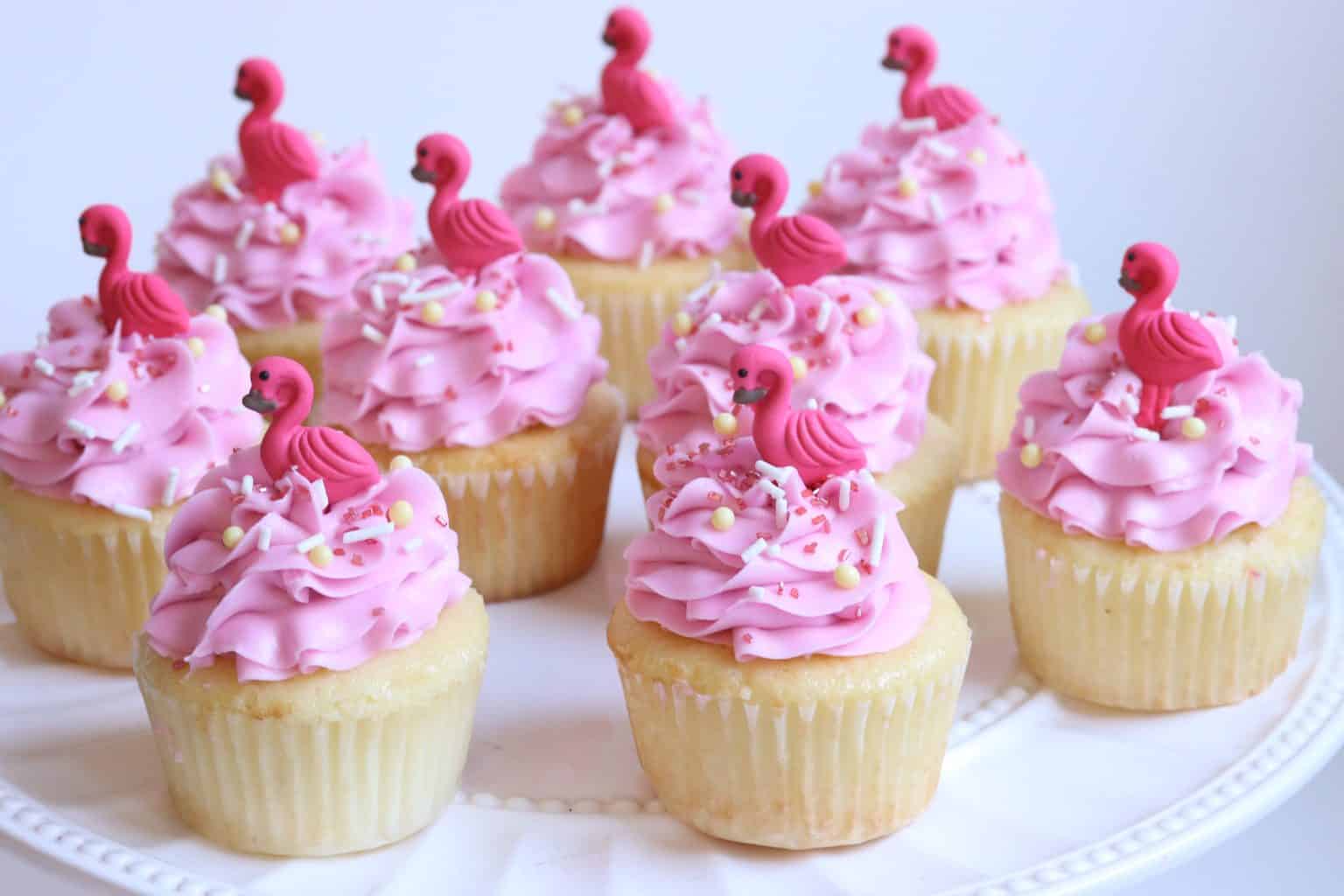 Knoxville Cupcakes | Heidi's Bakery
