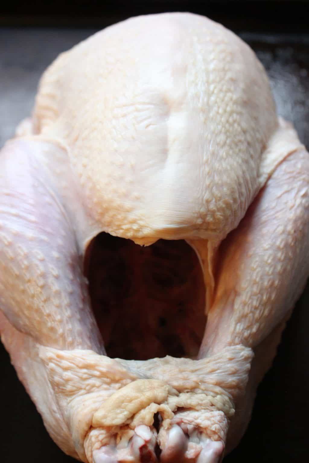 Foolproof 3-Step Tuscan-Style Roasted Turkey for the Holidays - Heidi's ...